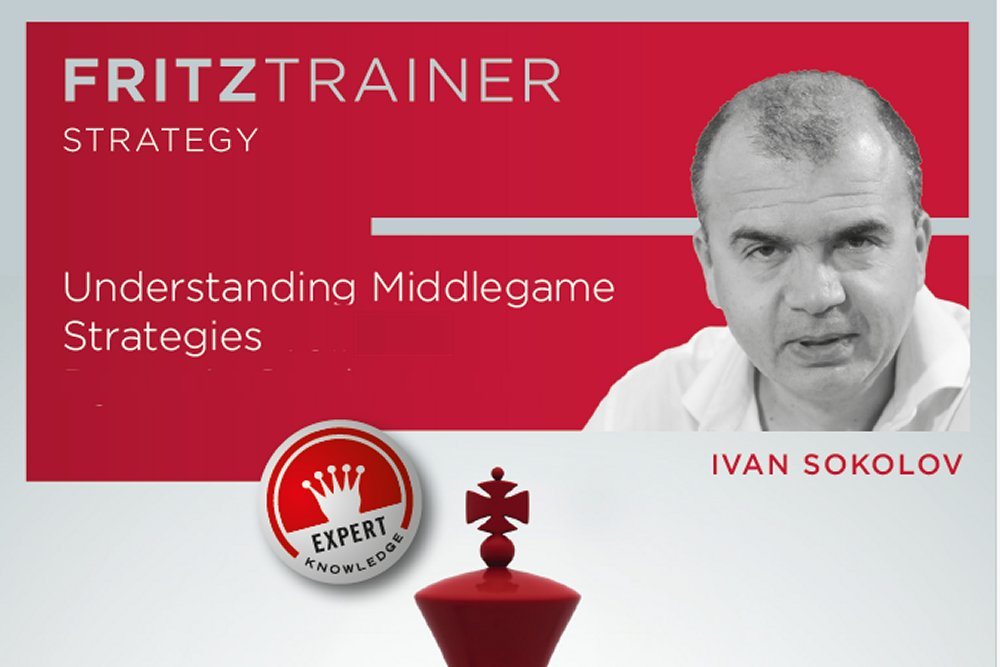 Rezension: Ivan Sokolov: Understanding Middlegame Strategies Vol.7 ...
