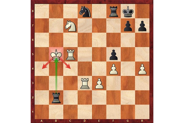 Türme + Springer - und ein armer König! | ChessBase