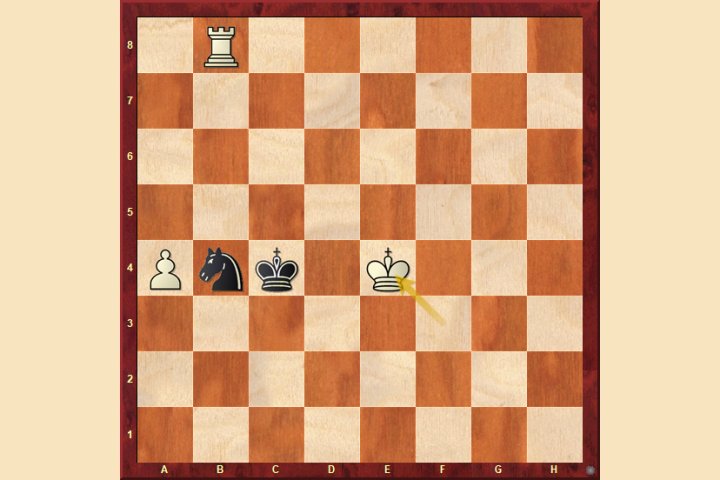 Springer am Rand ist des Remis Garant | ChessBase